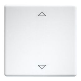 Eltako Wippe lasergraviert f.55x55mm rws W-FT55-wg+2P (30000981)