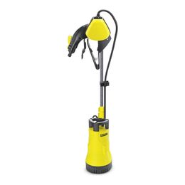 Kärcher Kärcher SBP 3800 Fasspumpe aus Kunststoff/Metall mit Schlauch L15m/Spritzpistole für Förderung von Wasser, 1.645-460.0)