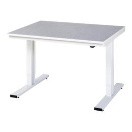 Rau Werktisch adlatus 300 elektrisch höhenverstellbar Linoleum-/Universal-Platte 1250 mm x 1000 mm (08-WT-125-100-L)