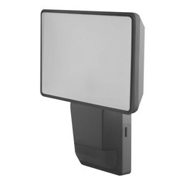 LEDVANCE LED-Strahler mit Sensor 4000K, grau EPROFLOODS154KIP55DG (4058075228801)