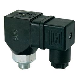 Riegler Druckschalter, Wechselkont. drehbar, Stahl ver., G 1/8, 10-70 bar (DS 6003)