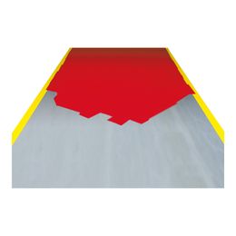 Moravia Hallenmarkierfarbe PROline-paint 5 l rot RAL 3001 (263.18.881)