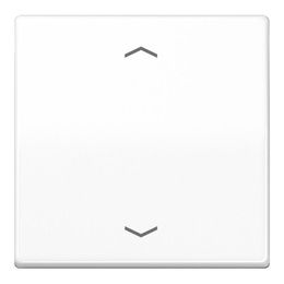 Jung Steuertaste Standard Symbole Pfeile AS 1700 P WW (AS1700PWW)