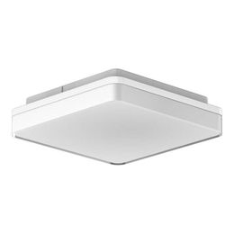 RZB ZIMMERMANN RZB LED-Wand-u. Deckenleuchte 3000/4000K 221188.002.2)