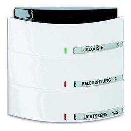 BUSCH-JAEGER Bedienelement 3/6fach MF/IR 6320/30-24G (2CKA006320A0013)