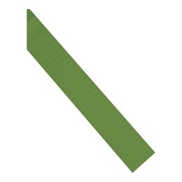 MAGNETOPLAN ferrocard-Etiketten, gr&uuml;n, 40 x 10 mm (1284105)
