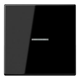 Jung Wippe Lichtleiter ws für Taster LS 990 KO5 SW (LS990KO5SW)