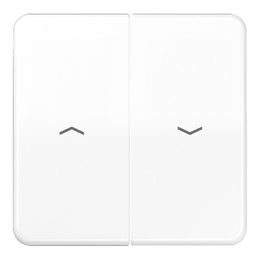 Jung Wippe Symbole aws für Taster CD 595 P WW (CD595PWW)