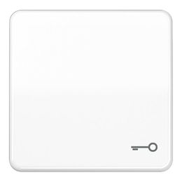 Jung Wippe Symbol TÜR aws für Taster CD 590 T WW (CD590TWW)