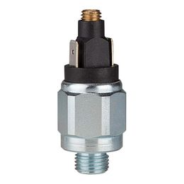 Riegler Druckschalter, Standard, Stahl verz., G 1/4, 1-10 bar, Schließer (DS 4015)