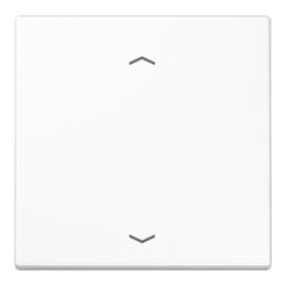 Jung Steuertaste Standard Symbole Pfeile LS 1700 P WW (LS1700PWW)