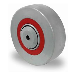CASCOO Rad ø 100 mm Serie M6N2 Rollenlager (100M6N2R32)