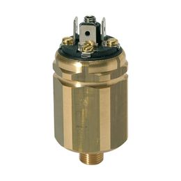 Riegler Vakuum-Druckschalter, MS, Wechselkontakt, G 1/8, 20 - 800 mbar (DS 3001)