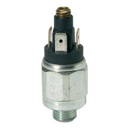 Riegler Druckschalter, Wechselkontakt, Stahl ver., 42 V, G 1/4, 10-70 bar (DS 4036)