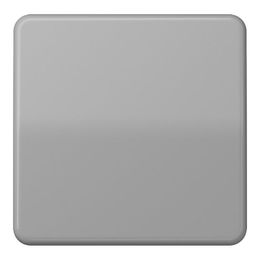 Jung Wippe gr für Taster CD 590 (CD590GR)