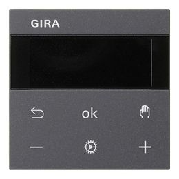 GIRA RTR Display anthrazit 539328)
