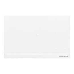 BUSCH-JAEGER Smart Access Point Pro D04011-03 (2TMA400260W0008)