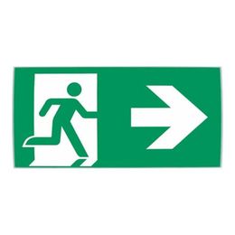 CEAG Notlichtsysteme Piktogrammscheibe PO gem.ISO7010 40071354138)