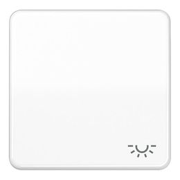 Jung Wippe Symbol LICHT aws für Taster CD 590 L WW (CD590LWW)