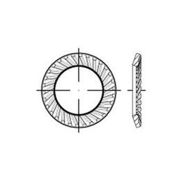 Schnorr Scheiben Federstahl VS 22 S (436700)