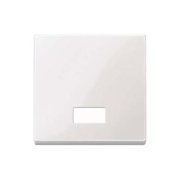 Merten Wippe Symbol Fenster pwsgl rechteckig 432819)