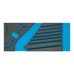 Hazet 2K-Weichschaum-Einlage 163-518L)