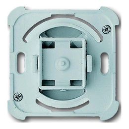 BUSCH-JAEGER Einsatz 2031 UP (2CKA001413A0806)