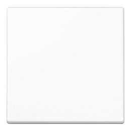Jung Steuertaste Standard A 1700 BF WW (A1700BFWW)