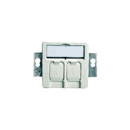 Teleg&auml;rtner Teleg&auml;rtner Modul-Aufnahme 2fach UP/50 aws leer f.BR 100021416)