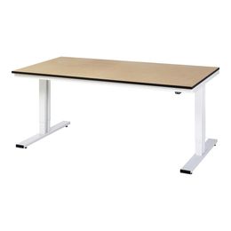 Rau Werktisch adlatus 300 elektrisch höhenverstellbar Arbeitsplatte MDF 2000 mm x 1000 mm (08-WT-200-100-F)