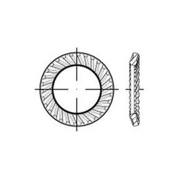 Schnorr Scheiben 1.4301 S 24 A 2 S (439091)