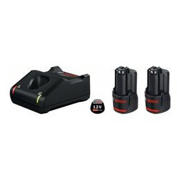 Bosch Akku Starter-Set: 2 x GBA 12 Volt 2,0 Ah und GAL 12V-40 (1600A019R8)