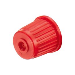 Kärcher Kärcher Spritzduese rot (6.295-725.0)