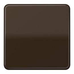 Jung Wippe br für Taster CD 590 (CD590BR)