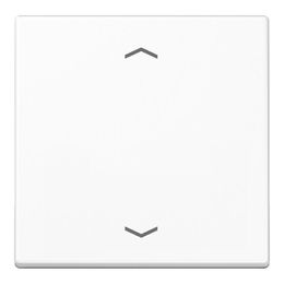 Jung Steuertaste Standard Symbole Pfeile A 1700 P WW (A1700PWW)