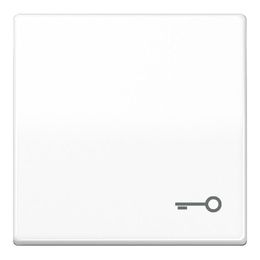 Jung Wippe Symbol TÜR aws für Taster AS 591 T WW (AS591TWW)