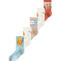 next Socken Jungen Größe 16/18.5 bunt