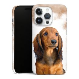 DeinDesign iPhone 14 Pro Handy Premium Case Smartphone Handyh&uuml;lle Schutzh&uuml;lle matt Pet Dachshund Dog Premium Case