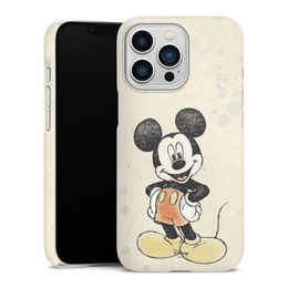 DeinDesign iPhone 13 Pro Handy Premium Case Smartphone Handyh&uuml;lle Schutzh&uuml;lle matt Water Colour Official Licensed Product Premium Case