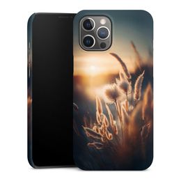 DeinDesign iPhone 12 Pro Max Handy Premium Case Smartphone Handyh&uuml;lle Schutzh&uuml;lle matt Sun Pampasgras Nature Premium Case