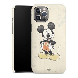 DeinDesign iPhone 12 Pro Max Handy Premium Case Smartphone Handyh&uuml;lle Schutzh&uuml;lle matt Water Colour Official Licensed Product Premium Case