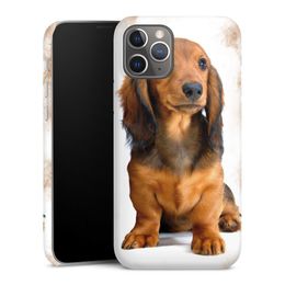 DeinDesign iPhone 12 Pro Handy Premium Case Smartphone Handyh&uuml;lle Schutzh&uuml;lle matt Pet Dachshund Dog Premium Case