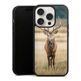 DeinDesign iPhone 15 Pro Handy Gallery Case Handyh&uuml;lle 9H Geh&auml;rtetes Glas R&uuml;ckseite H&uuml;lle Forrest Deer Meadow Gallery Case
