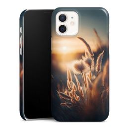 DeinDesign iPhone 12 Handy Premium Case Smartphone Handyh&uuml;lle Schutzh&uuml;lle gl&auml;nzend Sun Pampasgras Nature Premium Case