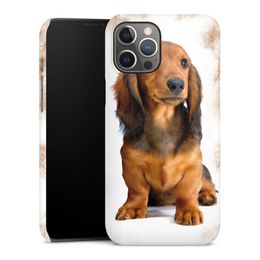 DeinDesign iPhone 12 Pro Max Handy Premium Case Smartphone Handyh&uuml;lle Schutzh&uuml;lle matt Pet Dachshund Dog Premium Case