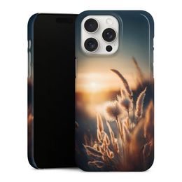 DeinDesign iPhone 15 Pro Max Handy Premium Case Smartphone Handyh&uuml;lle Schutzh&uuml;lle gl&auml;nzend Sun Pampasgras Nature Premium Case