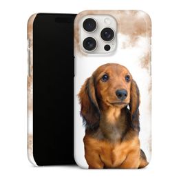 DeinDesign iPhone 15 Pro Max Handy Premium Case Smartphone Handyh&uuml;lle Schutzh&uuml;lle gl&auml;nzend Pet Dachshund Dog Premium Case