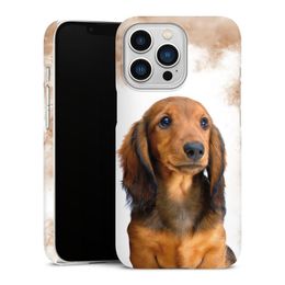 DeinDesign iPhone 13 Pro Handy Premium Case Smartphone Handyh&uuml;lle Schutzh&uuml;lle matt Pet Dachshund Dog Premium Case
