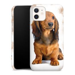 DeinDesign iPhone 12 Handy Premium Case Smartphone Handyh&uuml;lle Schutzh&uuml;lle gl&auml;nzend Pet Dachshund Dog Premium Case