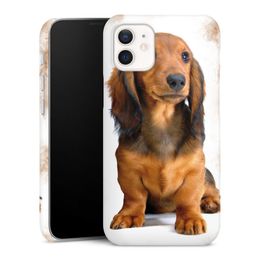 DeinDesign iPhone 12 mini Handy Premium Case Smartphone Handyh&uuml;lle Schutzh&uuml;lle matt Pet Dachshund Dog Premium Case